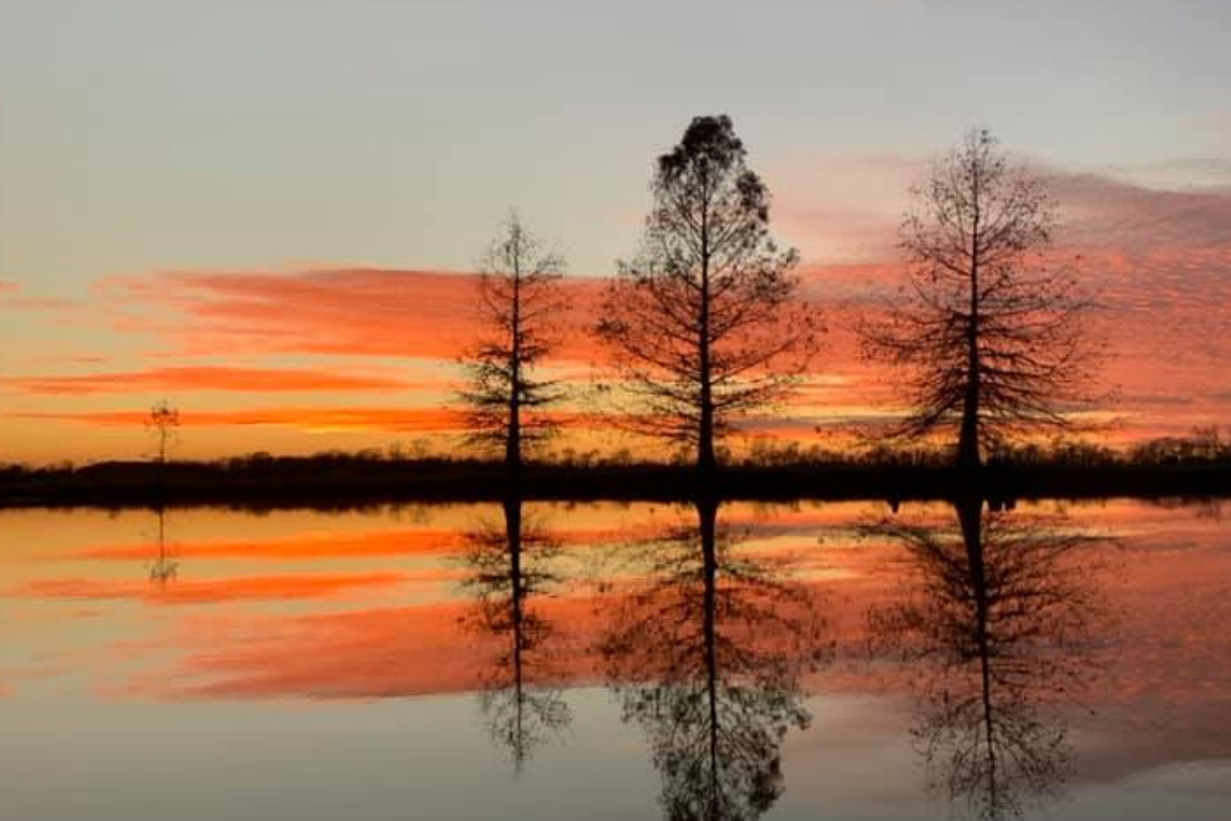 Picture Louisiana – Layden Lewis - Modern Grace Magazine