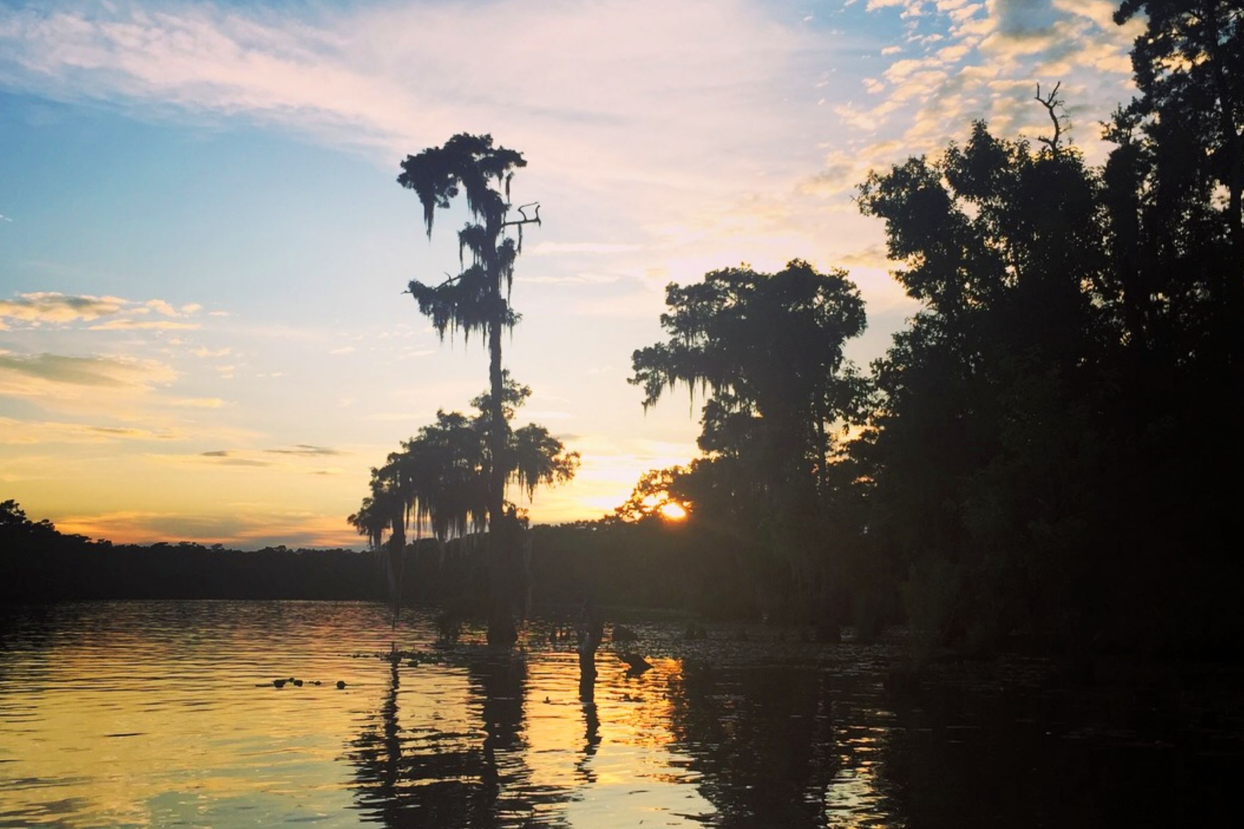 Values and Views - Modern Grace Magazine