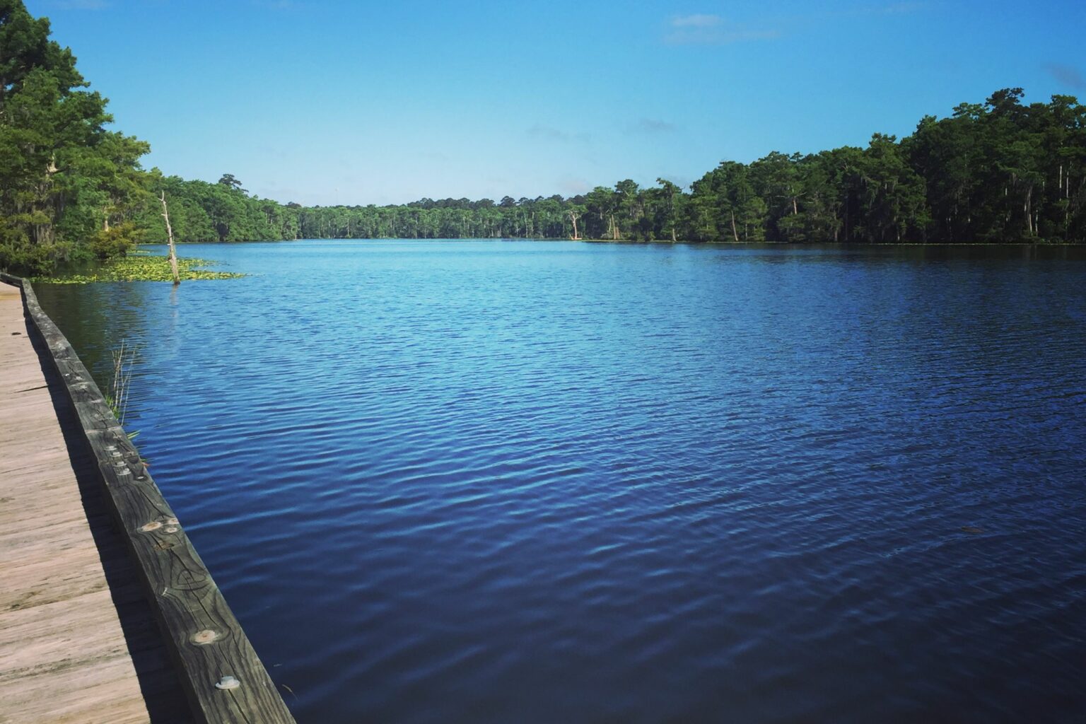 Values and Views - Modern Grace Magazine