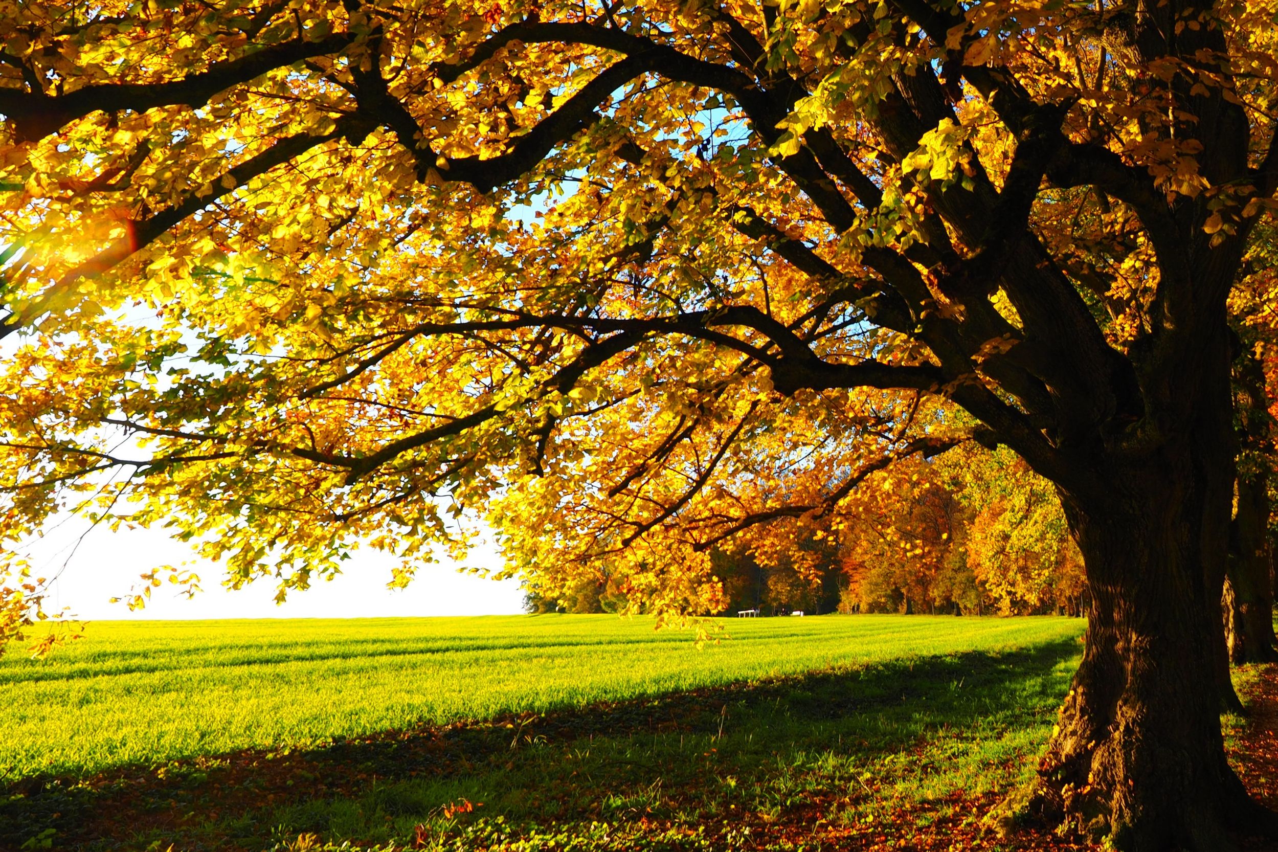 Just Getting Started - Modern Grace Magazine